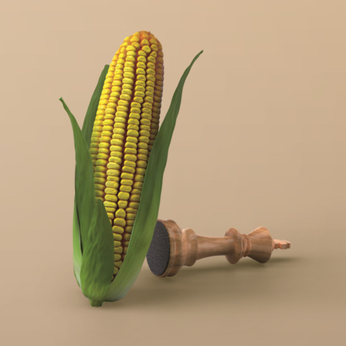 KWS HAIKO middenvroege maïs (FAO 240)- KWS SAAT SE & Co. KGaA