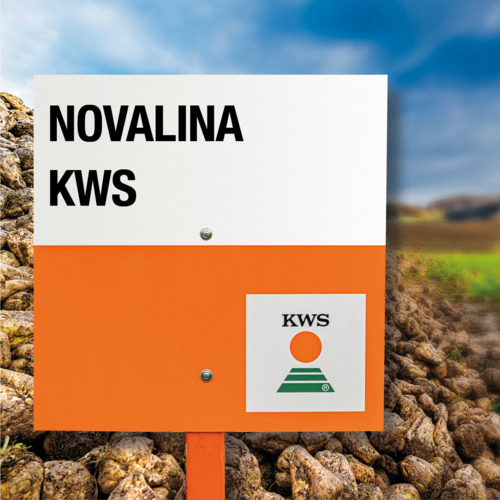 NOVALINA KWS - KWS Suisse SA