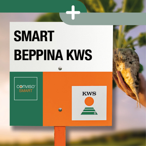 SMART BEPPINA KWS - KWS Suisse SA