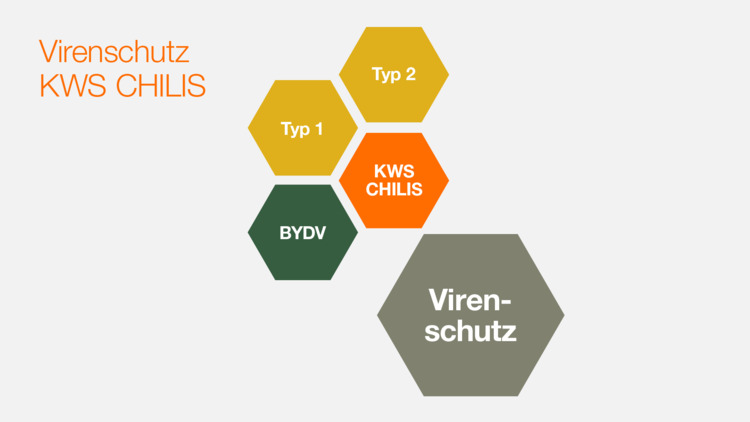 KWS CHILIS - Gerstensorte (mehrzeilig) - KWS SAAT | kws.de