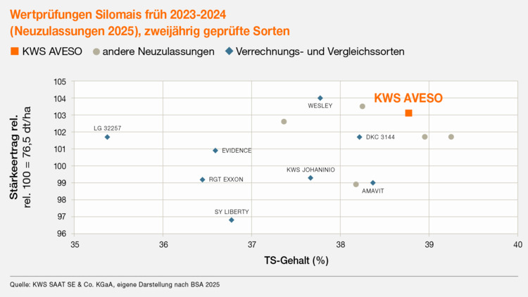 KWS AVESO (S 200 | K 200) - Maissorte - KWS SAAT | kws.de