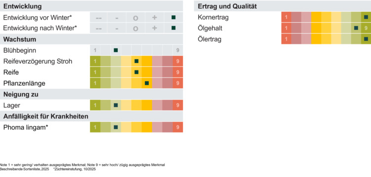 KWS EKTOS | Winterraps-Sorte - KWS SAAT | kws.de