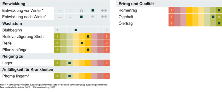 KWS SKOROS | Winterraps-Sorte - KWS SAAT | kws.de