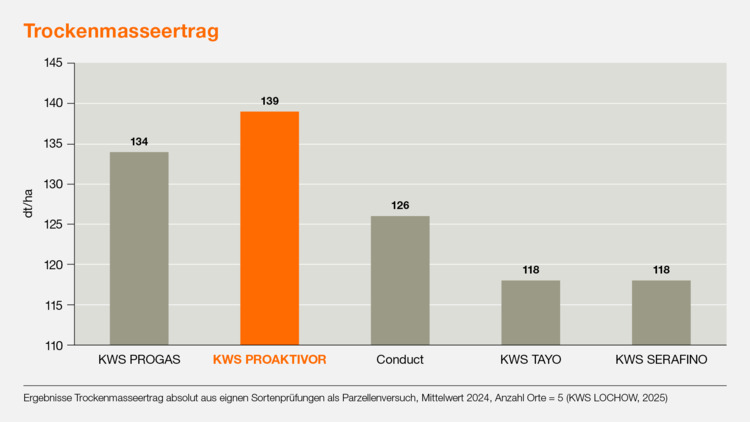 KWS PROAKTIVOR - Roggensorte - KWS SAAT | kws.de