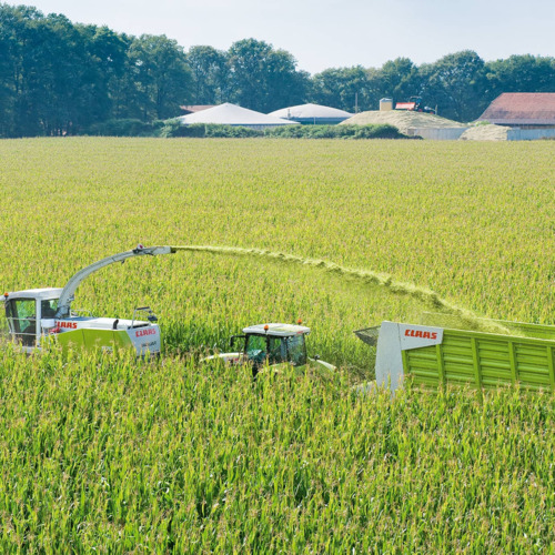 KWS GRANTURISMO - Aperçu des variétés - Maïs - Produits- KWS en France