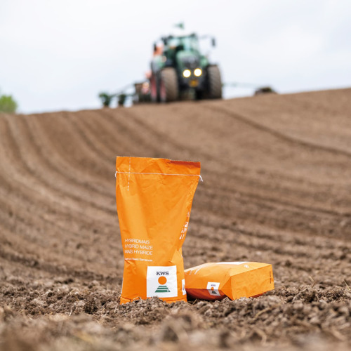 PAPAGENO - Aperçu des variétés - Maïs - Produits- KWS en France