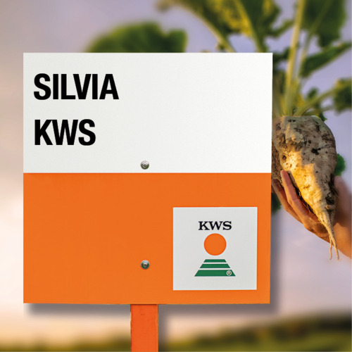 SILVIA KWS- KWS en France