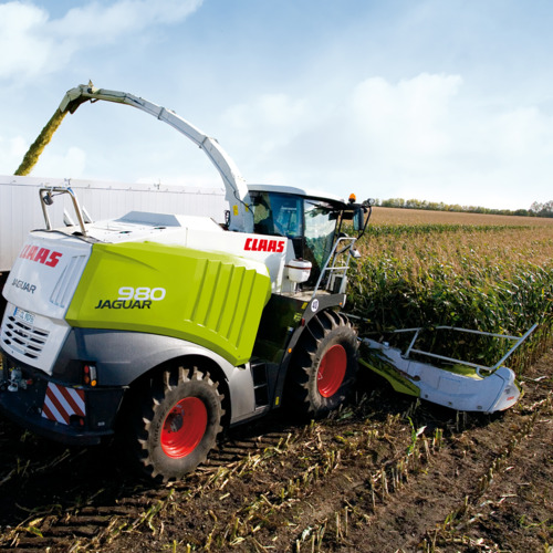 AMAROC - Variety overview Maize - Maize - Products- KWS UK Ltd.