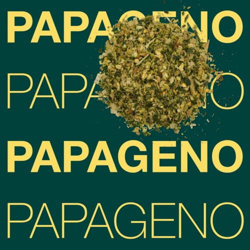 KWS PAPAGENO maïs très précoce (FAO 200) - KWS Benelux B.V.