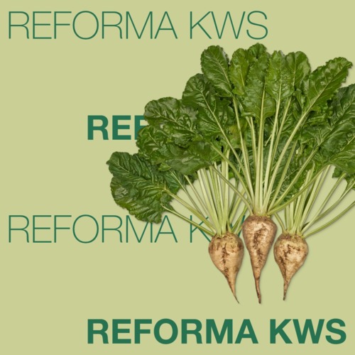 REFORMA KWS- KWS Benelux B.V.