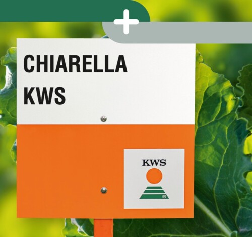 CHIARELLA KWS - KWS Semena, s.r.o.